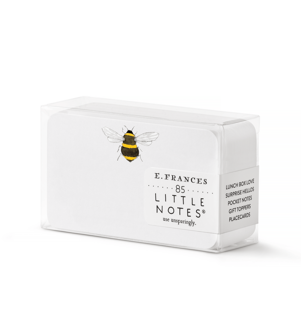 E. Frances Paper - Bee Little Notes® - Boxed Set of 85 Mini Note Cards ...