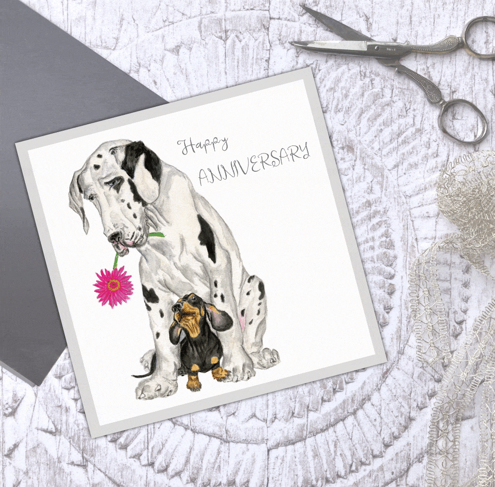 'Happy Anniversary' Gerbera Glow dog card – Taryn x Philip Boutique